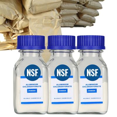 중국 ACH 알루미늄 엽수화물 수처리 등급 / 화장품 등급 판매용