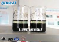China Platinum Mine Blufloc Flocculant Polyelectrolyte Sedimentation for sale