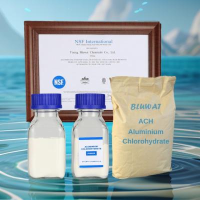 Cina NSF Certified ACH Powder Aluminium Chlorohydrate ad alta basilità per la desalinizzazione dell'acqua potabile e il trattamento delle acque reflue industriali in Qatar in vendita