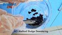 China Anoxic Oxic AO Method Sludge Dewatering Anionic Polyacrylamide for sale
