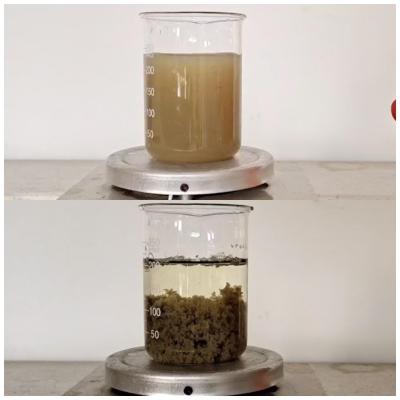 중국 제지 유출 처리 화학 물질 Decolor 대리인 응고제 색깔은 55295 98 2를 제거합니다 판매용