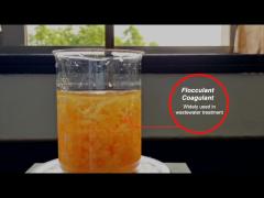 Coagulant / Flocculant in Wastewater Treatment