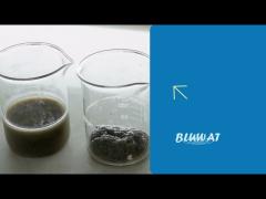 Bluwat Polyacrlamide PAM Flocculant Introduction