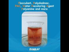 Water Purification Agent Wastewater Treatment Chemicals Flocculant and Coagulant Factory