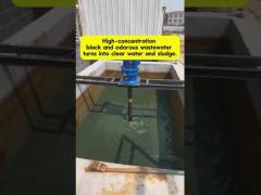 Turning Black Odorous Wastewater into Clear Water | Flocculant & Treatment Process