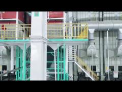 Dessiccateurs de grain de riz de 20 tonnes par groupe