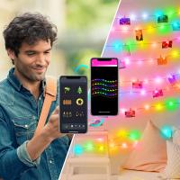 China Outdoor Ip44 Waterproof Amazon Alexa Smart Light Bulbs Remote Control Decorative String for sale