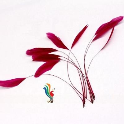 Cina Decorazione di festa con disegno colorato Piuma di gallo a pelo 12-14 / 14-16 pollici in vendita