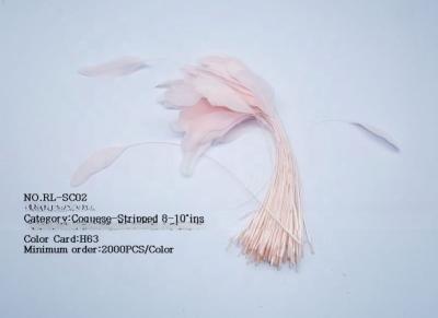 Cina Decorazione di festa con disegno colorato Piuma di gallo a pelo 12-14 / 14-16 pollici in vendita