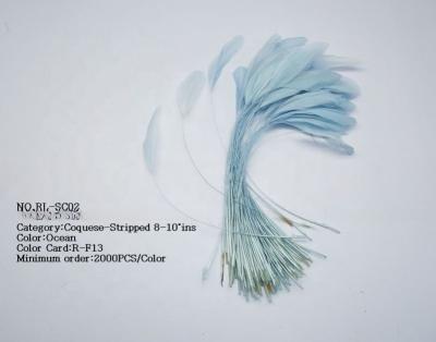 Cina Decorazione di festa con disegno colorato Piuma di gallo a pelo 12-14 / 14-16 pollici in vendita