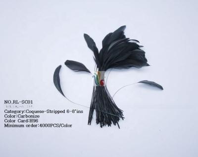 Cina Decorazione di festa con disegno colorato Piuma di gallo a pelo 12-14 / 14-16 pollici in vendita