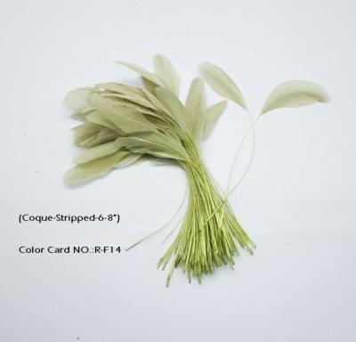 Cina Piuma di gallo da 8 a 10 pollici per il giorno del padre viola verde rosa in vendita