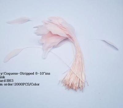 Cina Piuma di gallo da 8 a 10 pollici per il giorno del padre viola verde rosa in vendita