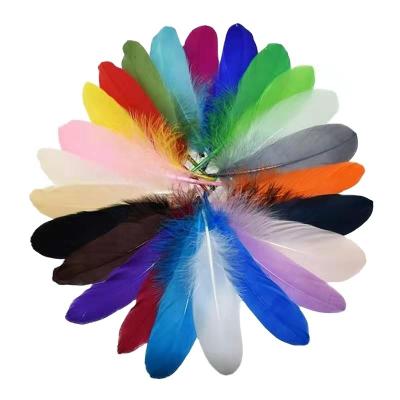 Cina 4-6 pollici piume di gallina colorate, piume di costume di carnevale OEM in vendita