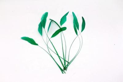 China Stripped Rooster Coque Feather in Dyed Pattern for Chicken Feather Benefit for sale