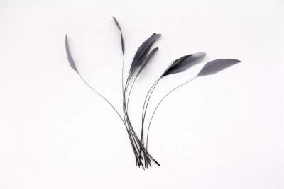 China Stripped Rooster Coque Feather in Dyed Pattern for Chicken Feather Benefit for sale