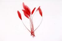China Stripped Rooster Coque Feather in Dyed Pattern for Chicken Feather Benefit for sale