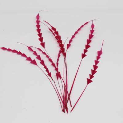 Cina Dispositivi per le feste decorazione di un gallo stripped Coque Piuma con accessori a filo 8-10 pollici in vendita