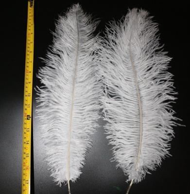 China Decoração de chapéus Mulheres Pena de avestruz Pequena Plumes Pena para eventos à venda