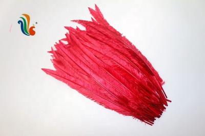 Cina Decorazione di festa Nandu Piumi di piuma disegnato per la spedizione mondiale in vendita