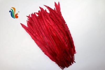 Cina Decorazione di festa Nandu Piumi di piuma disegnato per la spedizione mondiale in vendita