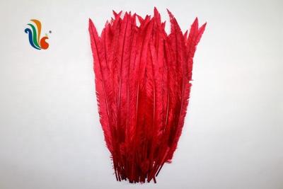 Cina Decorazione di festa Nandu Piumi di piuma disegnato per la spedizione mondiale in vendita