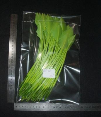 Cina Tinta testa di freccia a strisce piuma di tacchino a strisce con serigrafia in vendita