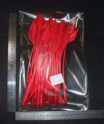 Cina Tinta testa di freccia a strisce piuma di tacchino a strisce con serigrafia in vendita