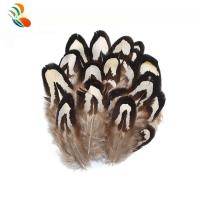 China 4-6cm Size Pattern Dyed Natural Pheasant Feather With Wire Accessory for sale