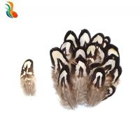 China 4-6cm Size Pattern Dyed Natural Pheasant Feather With Wire Accessory for sale