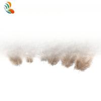 China 4-6cm Size Pattern Dyed Natural Pheasant Feather With Wire Accessory for sale