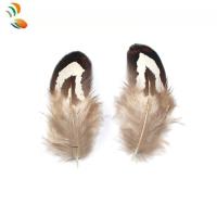 China 4-6cm Size Pattern Dyed Natural Pheasant Feather With Wire Accessory for sale