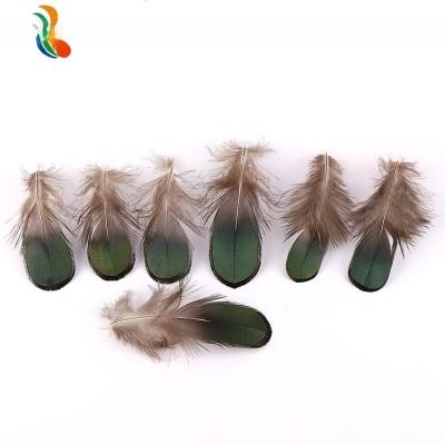 Cina 2-4 cm Fazzano d'oro Piume di piuma verde Spedizione DHL UPS FEDEX TNT In tutto il mondo in vendita