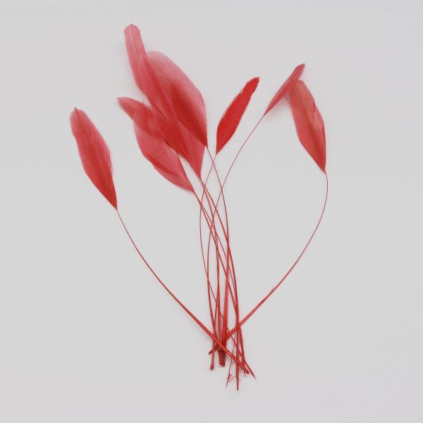 Quality 8-10 inch Chicken Feather Party Decoration Stripped Coque Create a Stunning for sale