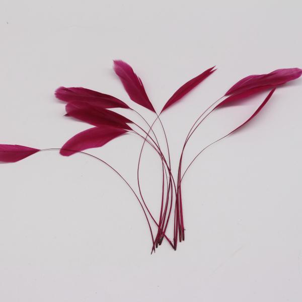Quality 8-10 inch Chicken Feather Party Decoration Stripped Coque Create a Stunning for sale