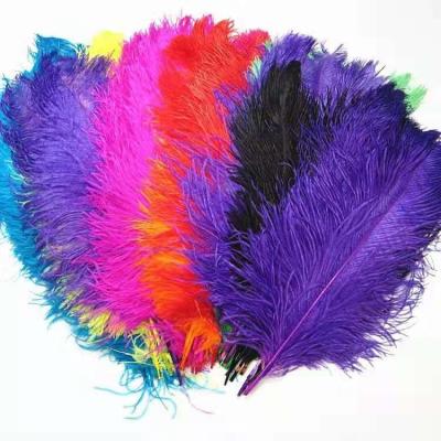 Plume d' autruche pour les fournitures de millinerie EMS Expédition de fête et décoration de carnaval
