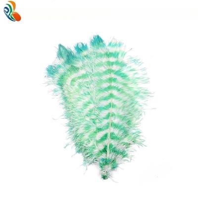China Zwei Farben Farbe Straußfeder Pflaumen 50-55cm Größe zur Dekoration zu verkaufen