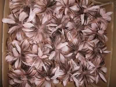 China 15*30cm Hackle And Goose Feather Mounts With Wire , Flower Feather Headband for sale