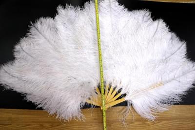 Cina 50-55 Cm Decorazione di festa Avestruzzo Piuma Ventilatore a mano Bianco Violettino Articoli caldi tinti in vendita