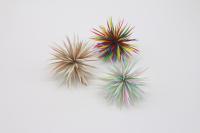 China 5*10 cm Goose Biot Feather Flower Mount with Wire Accessory for sale