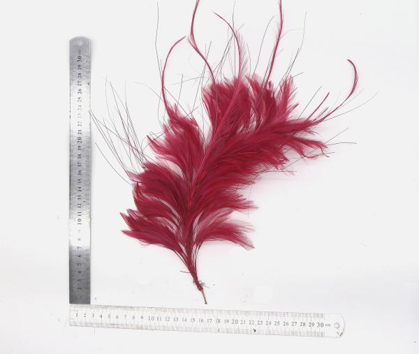 Quality 15x30CM Burnt Coque And Hackle Feather Mounts Flower Feather Headwear for sale
