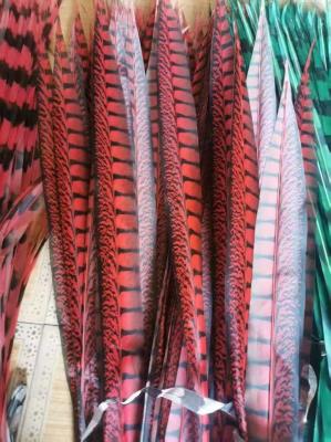 Cina Costumi di carnevale Decorazione Fallace Lady Amherst Fagiano Piuma in vendita
