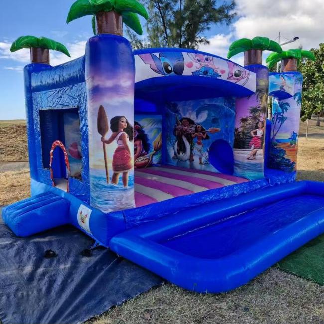Custom Inflatable Bouncer Combo With Slide And Pool