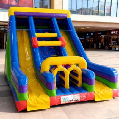 China Great Value Large Inflatable Land Slide Custom Double Lane Design Durable PVC Amusement Structure for Kids and Adults for sale