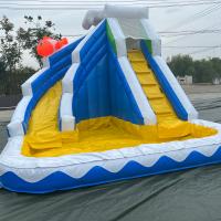 China Double Dolphins Inflatable Floating Water Slide 0.9mm PVC Large Slide with Pool for sale