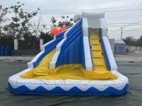 China Double Dolphins Inflatable Floating Water Slide 0.9mm PVC Large Slide with Pool for sale