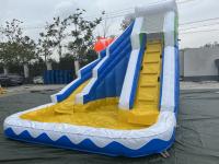 China Double Dolphins Inflatable Floating Water Slide 0.9mm PVC Large Slide with Pool for sale