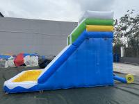 China Double Dolphins Inflatable Floating Water Slide 0.9mm PVC Large Slide with Pool for sale