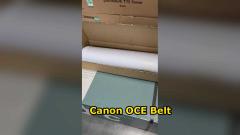 Canon OCE varioPRINT Conveyor Belt 1060075550