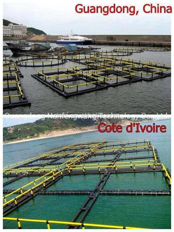 Plastic HDPE Square Fish Cage Floating in Freshwater